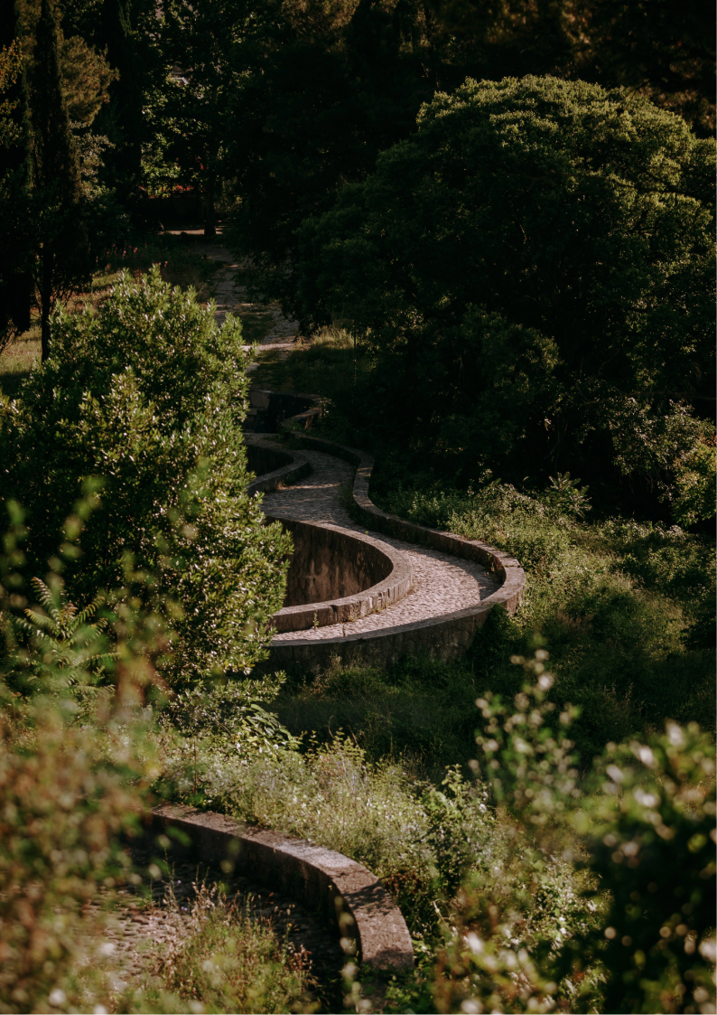 Clés de succès des sociétés de gestion dans la décarbonation | France ...